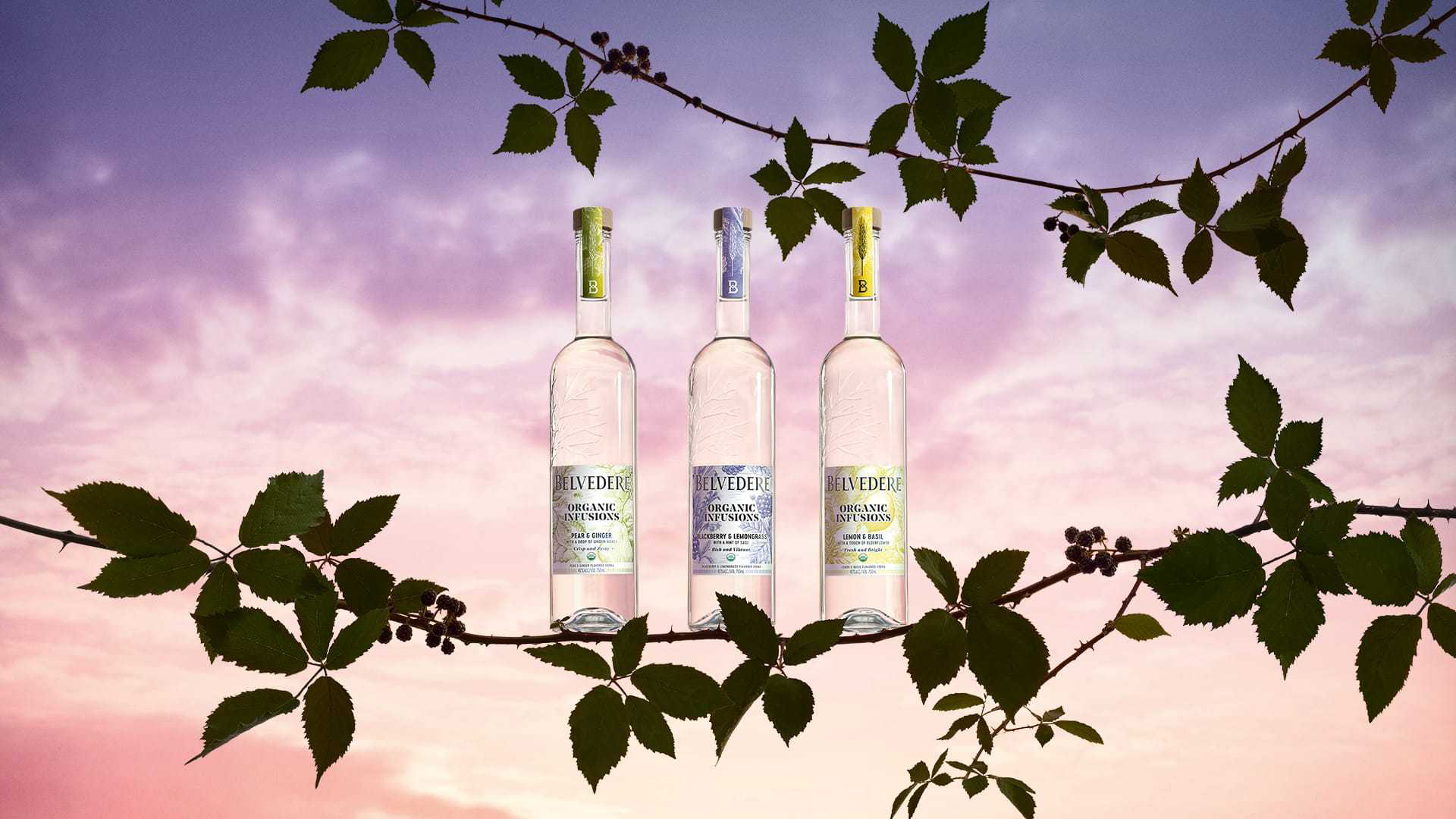 Belvedere Organic Infusions Partners With Kwame Onwuachi, Maxwell ...