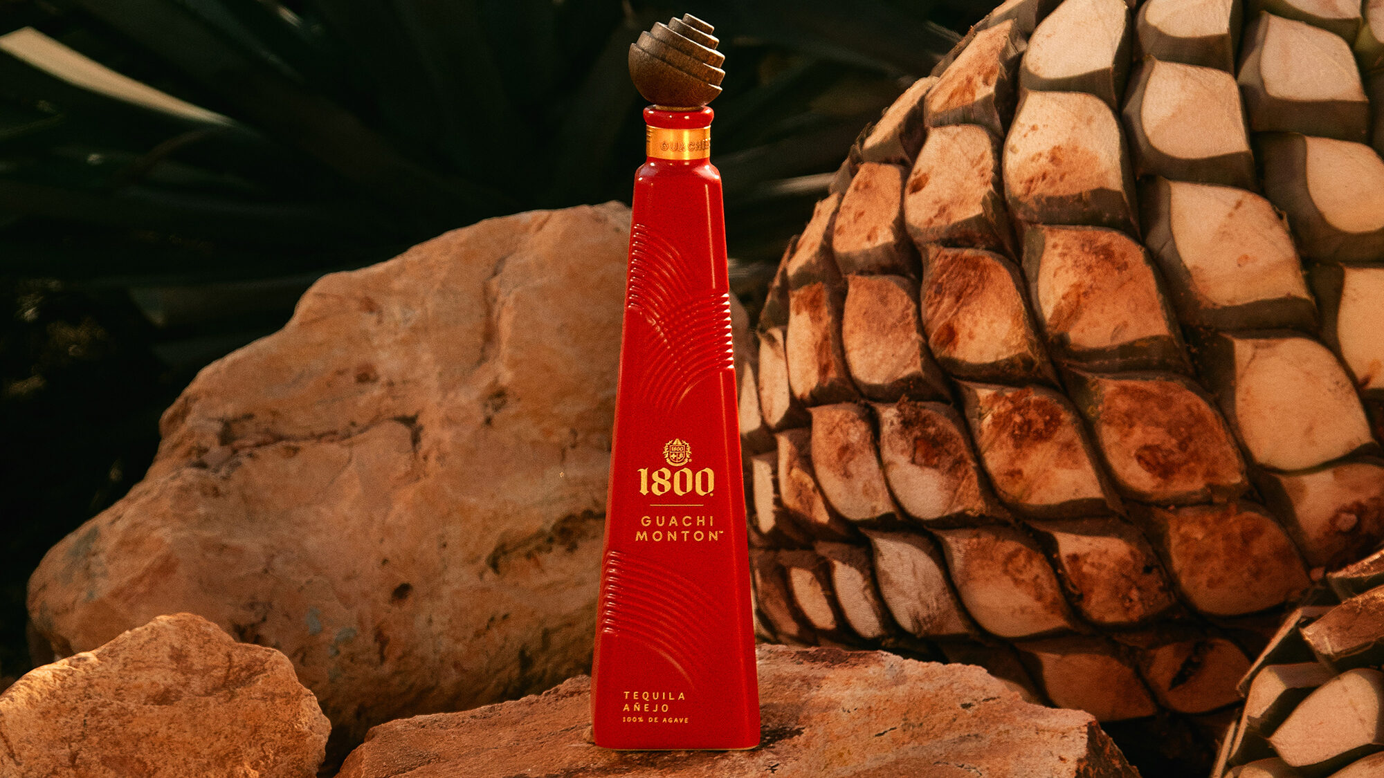 1800 Debuts GuachiMonton Añejo Tequila In Support Of UNESCO World ...