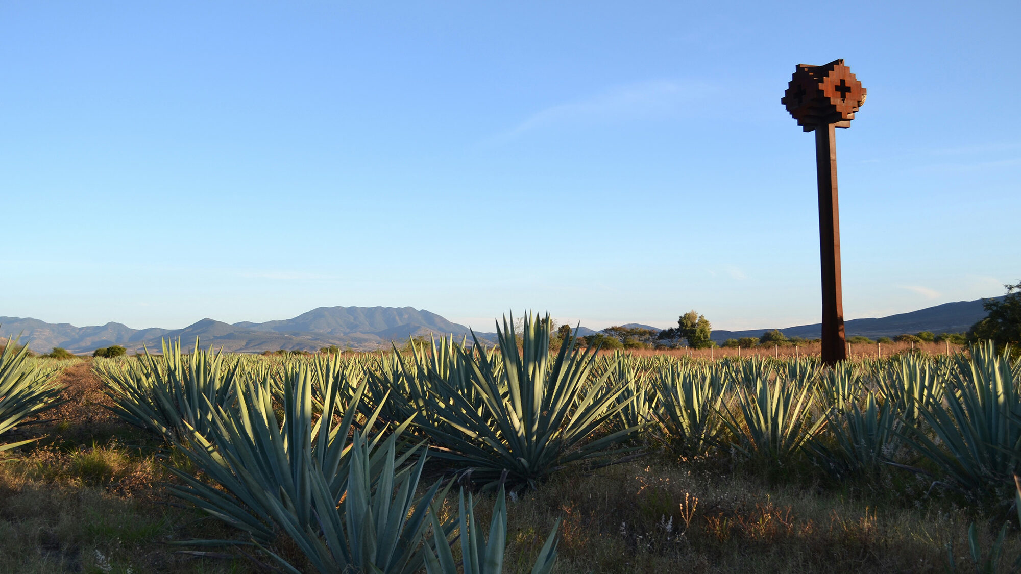The Best Aged Mezcal: Time, Smoke, and the Slow Magic of Mexico ...